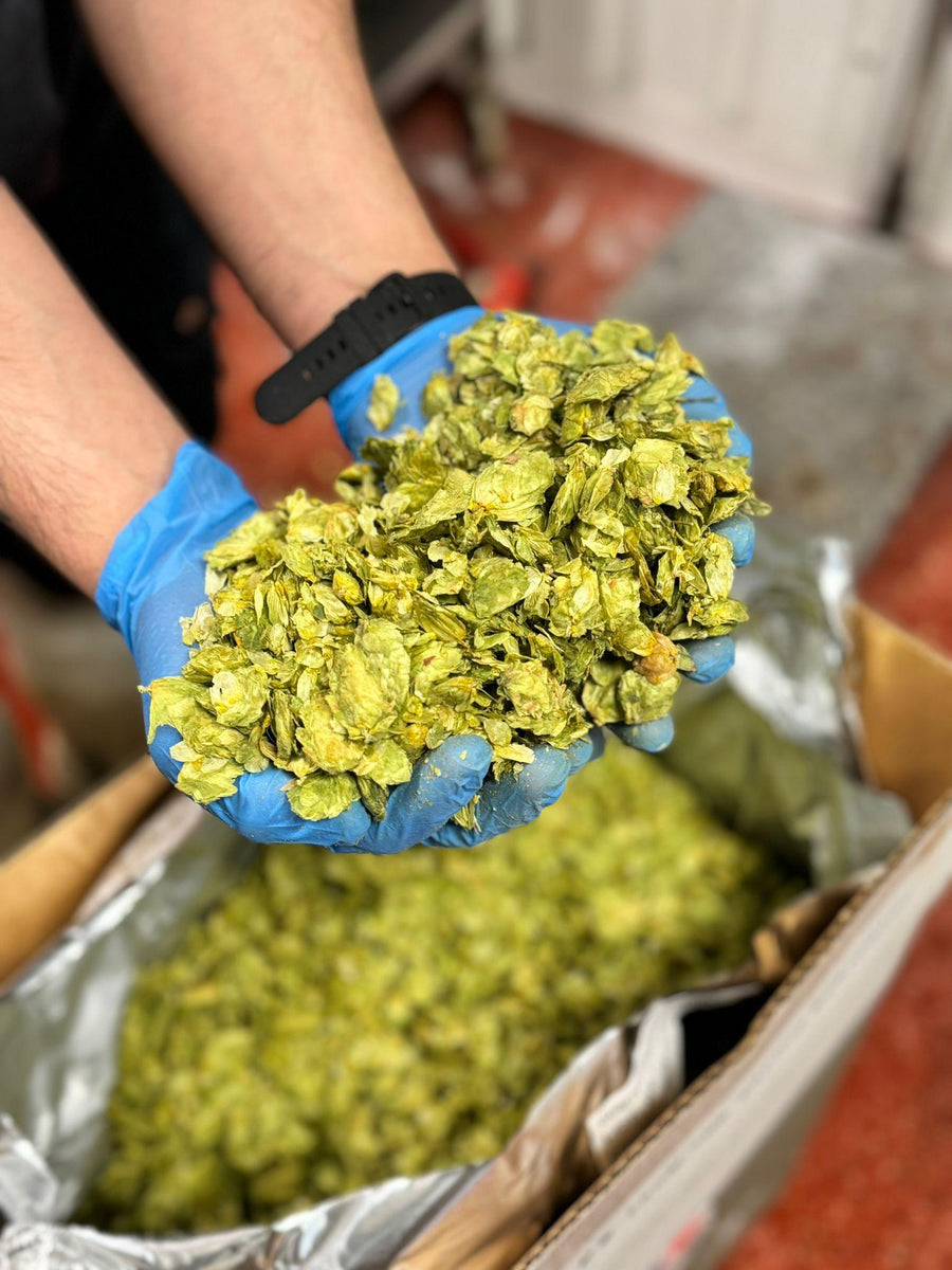 Hop-Forward Beer | Pale Ales, IPAs, Lagers | The Kernel Brewery